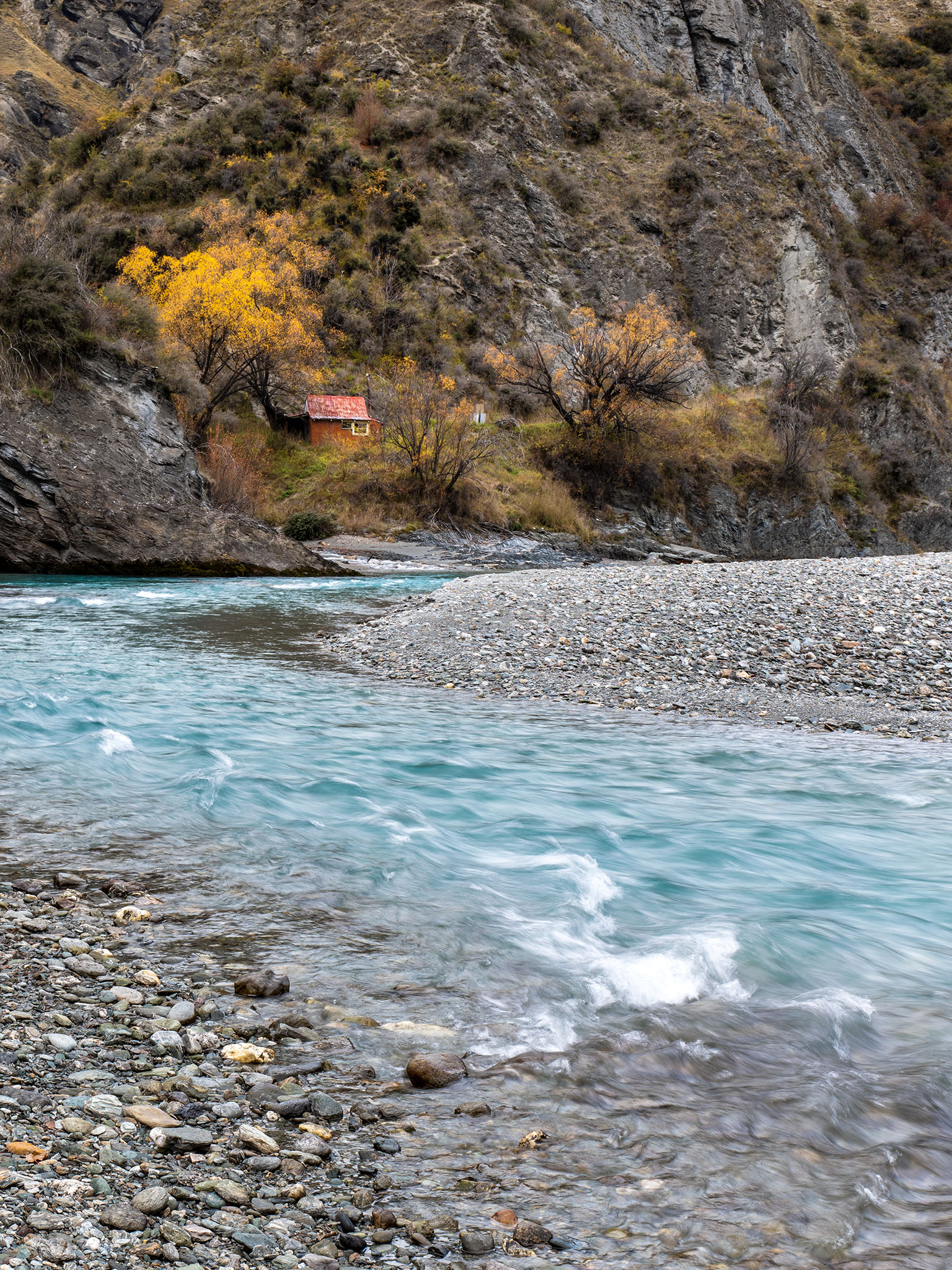 Latest Images - Natures Image Photography